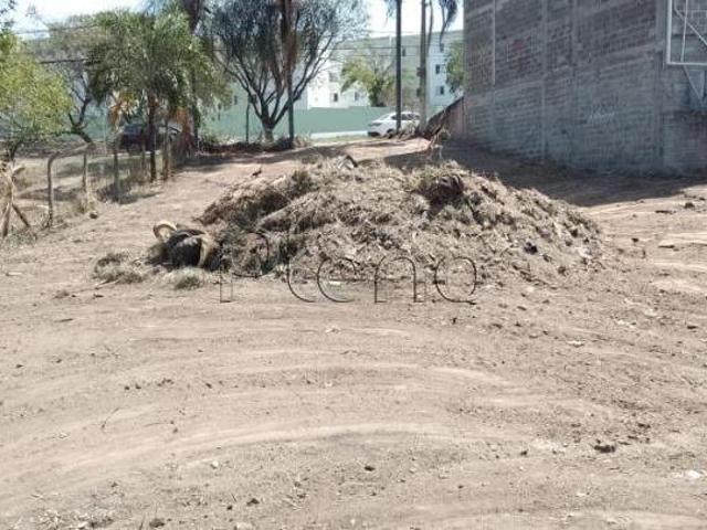 Terreno à venda em Campinas, Jardim Indianópolis, com 737 m²