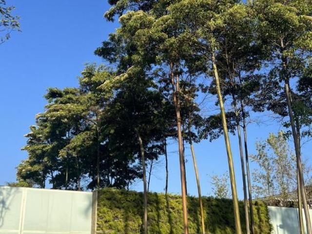 Terreno à venda em Campinas, Loteamento Residencial Pedra Alta Sousas, com 1061 m²