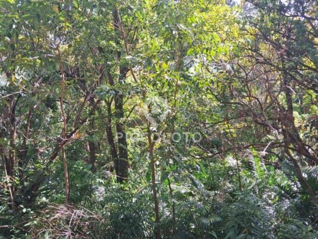 Terreno à venda em Campinas, Sítios de Recreio Gramado, com 5680 m², Chácara Gramado