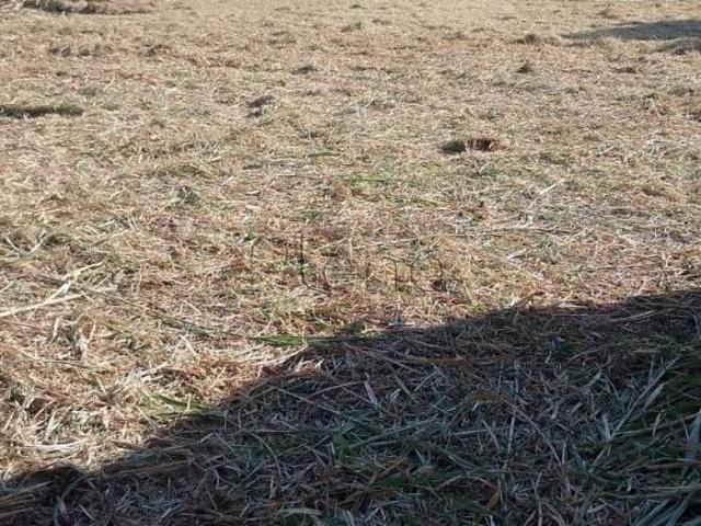 Terreno à venda em Campinas, Parque Taquaral, com 5116 m²