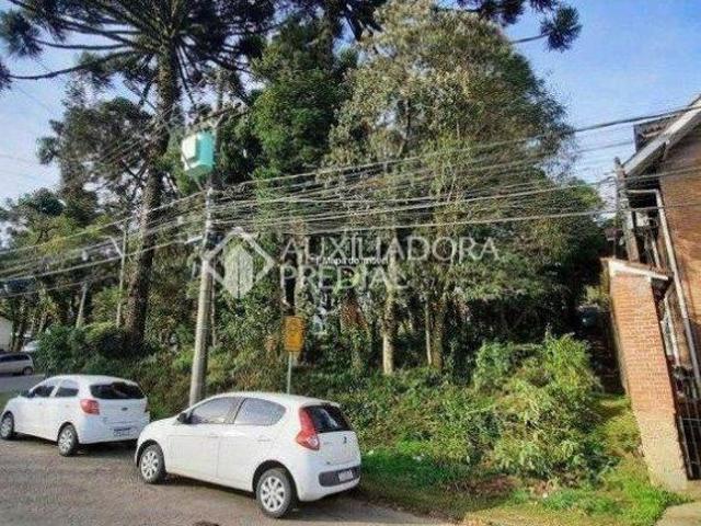 Terreno à venda em Canela