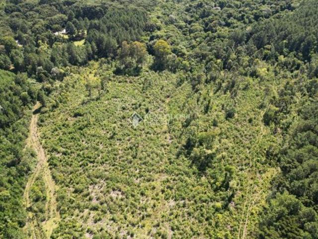 Terreno à venda em Canela
