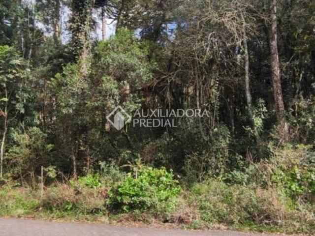 Terreno à venda em Canela