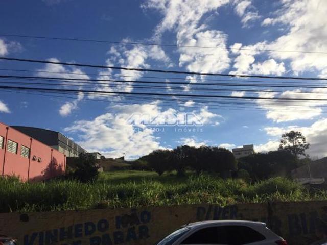 terreno à venda em Capela