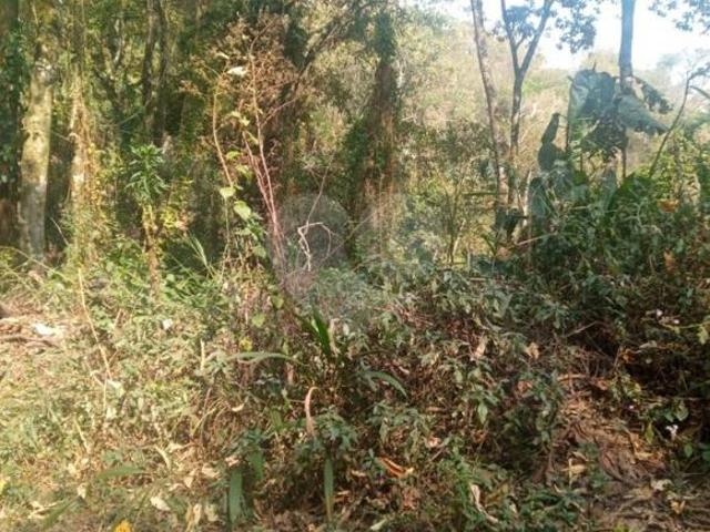 Terreno à venda em Caraguatá SP