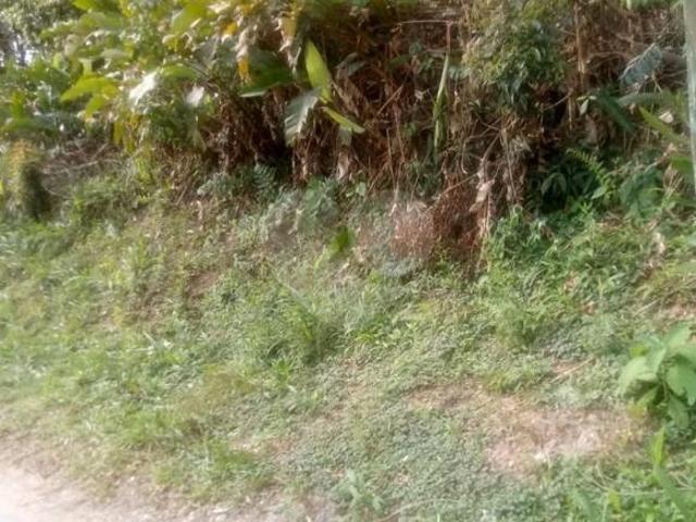 Terreno à venda em Caraguatá SP