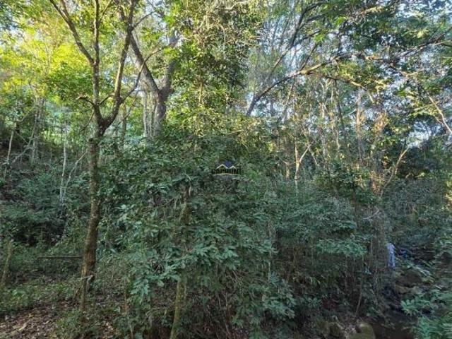 Terreno à venda em Carmópolis de Minas – 12 hectares