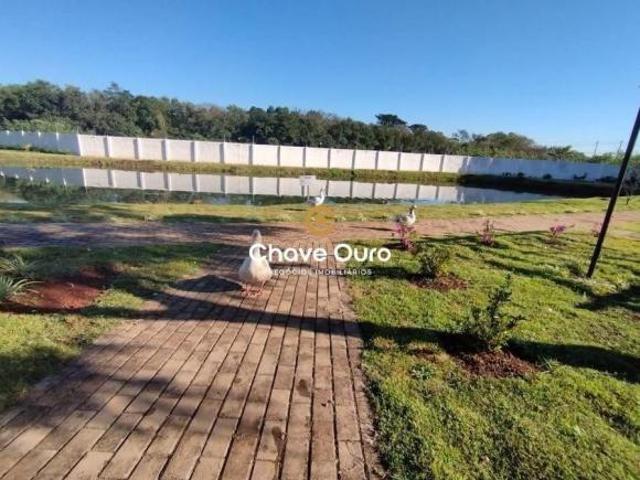 Terreno à venda em Cascavel Velho