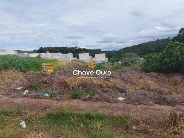 Terreno à venda em Cascavel Velho