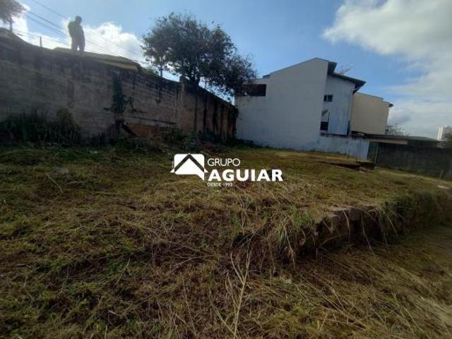 terreno à venda em Castelo