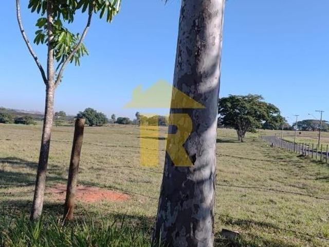 Terreno à venda em Cedral SP, Zona Rural, com 66.000m² Oportunidade imperdível!