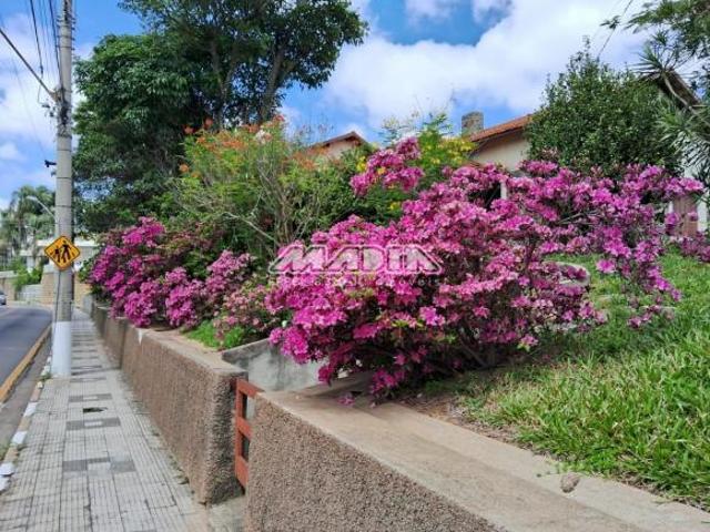 terreno à venda em Centro