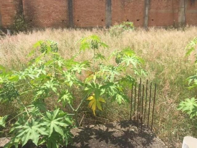 terreno à venda em Centro
