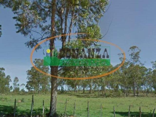 Terreno à venda em César de Pina