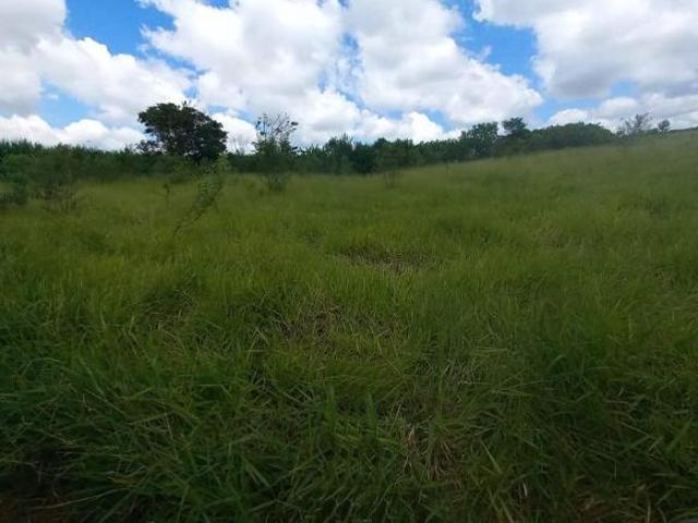 Terreno à venda em Cesário Lange
