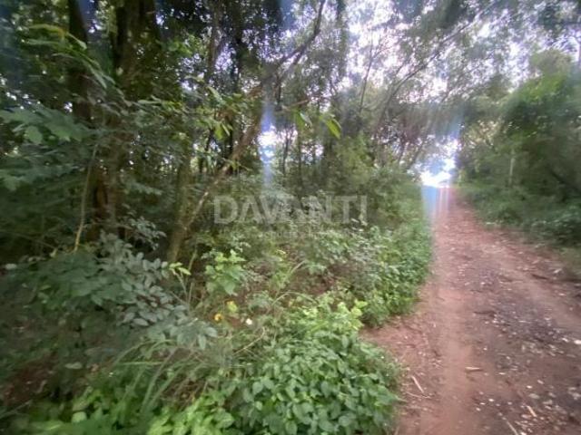 terreno à venda em Chácara Belvedere