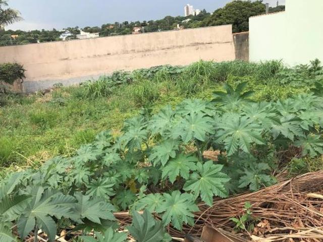 terreno à venda em Chácara da Barra