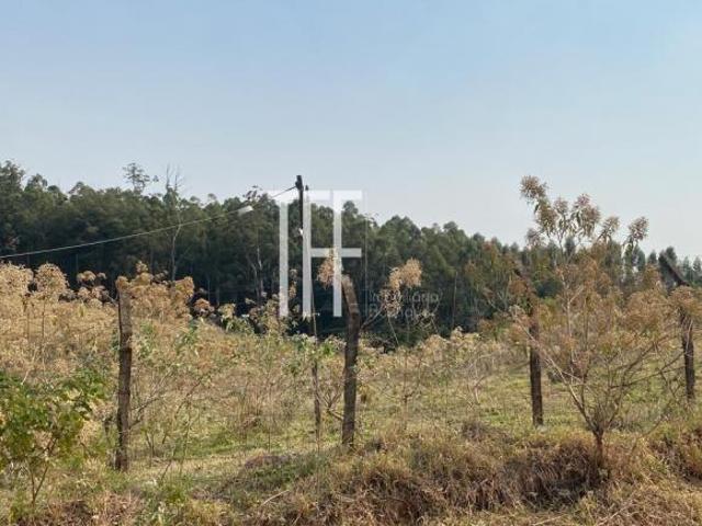 terreno à venda em Chácara São Rafael