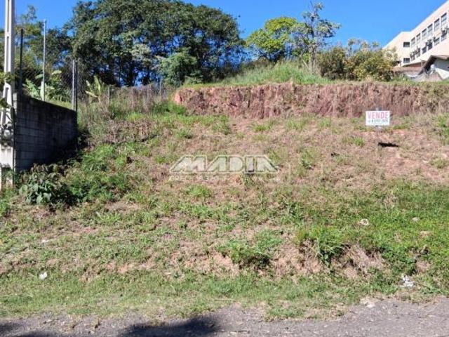 terreno à venda em Chacaras Silvania