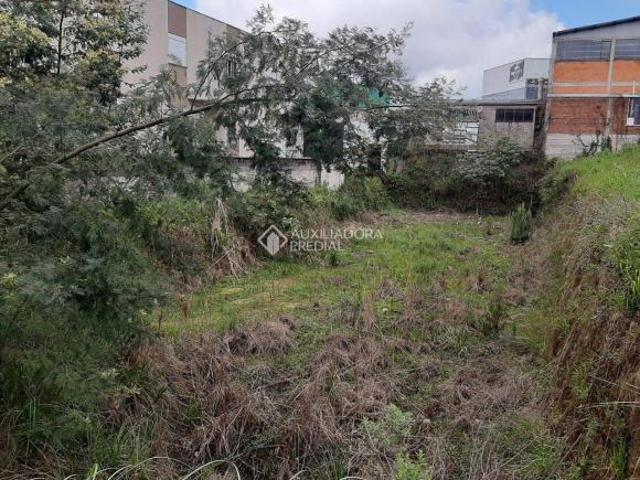 Terreno à venda em Charqueadas