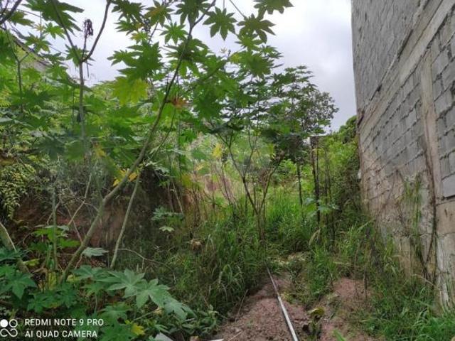 Terreno à venda em Chora menino SP