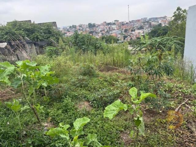 Terreno à Venda em Cidade São Pedro, Santana de Parnaíba – 262m²
