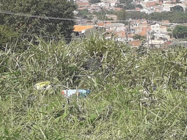 terreno à venda em Cidade Satélite Íris