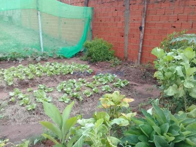 terreno à venda em Cidade Satélite Íris