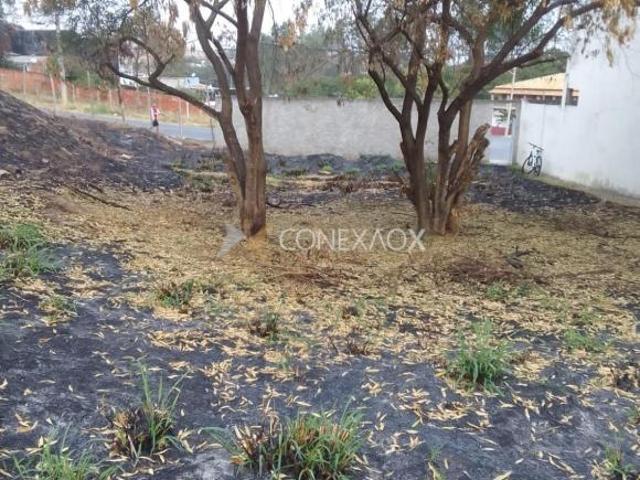 terreno à venda em Cidade Satélite Íris