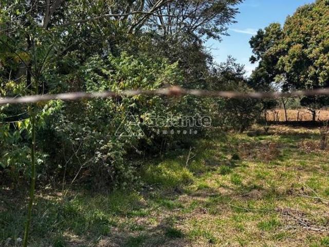 terreno à venda em Cidade Universitária