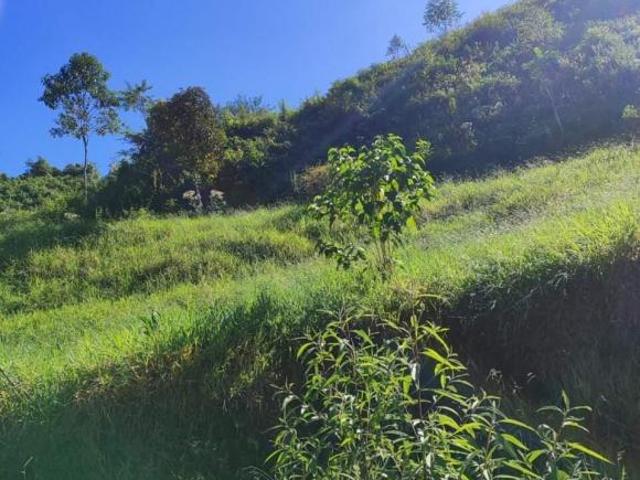 Terreno à venda em Cristais Mariana/MG