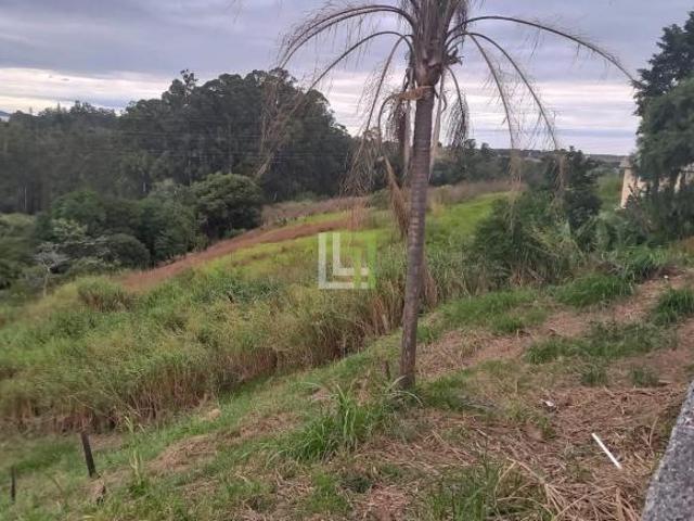 Terreno à venda em Currupira