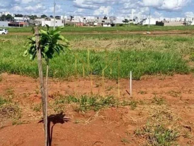 Terreno à venda em Custódio Pereira