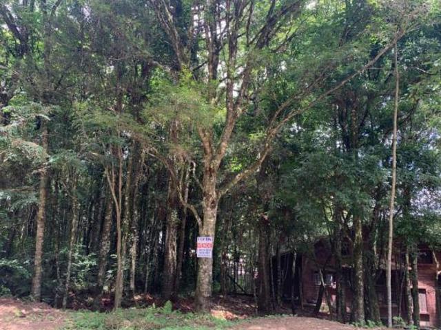 Terreno à venda em Ana Rech, Caxias do Sul