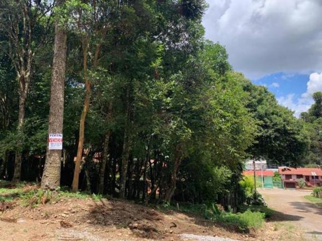 Terreno à venda em Ana Rech, Caxias do Sul