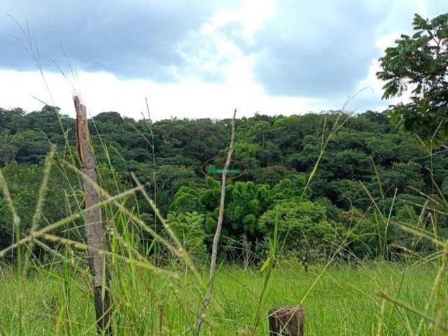 TERRENO À VENDA EM ÁGUAS SANTAS