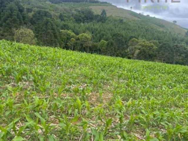 Terreno à venda em Agudos do Sul Bairro Meleiro