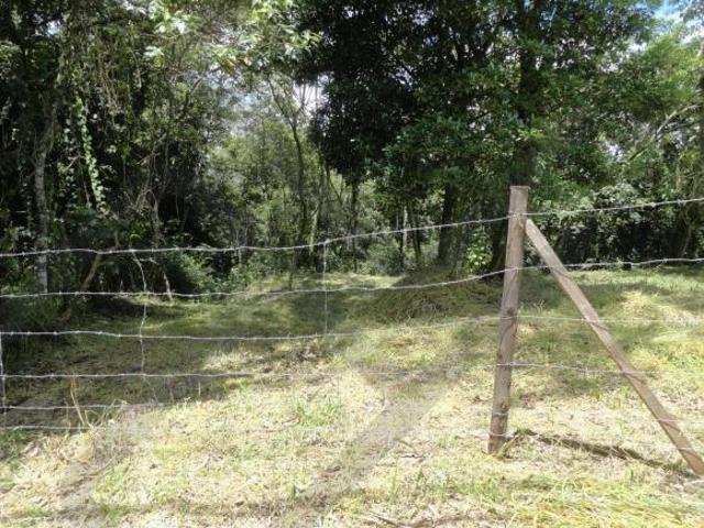 TERRENO A VENDA EM ALDEIA DA SERRA