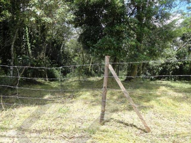 TERRENO A VENDA EM ALDEIA DA SERRA