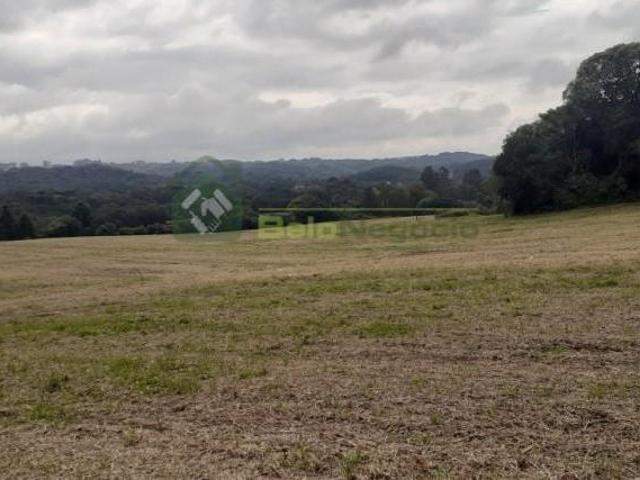 Terreno à venda em Araucária
