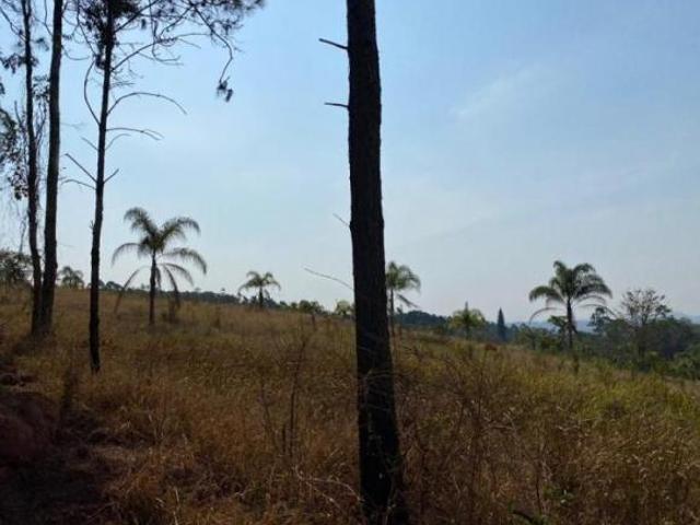 Terreno à venda em Atibaia SP, no bairro Portão, com 20.000,00 m² de área Excelente oportunidade d