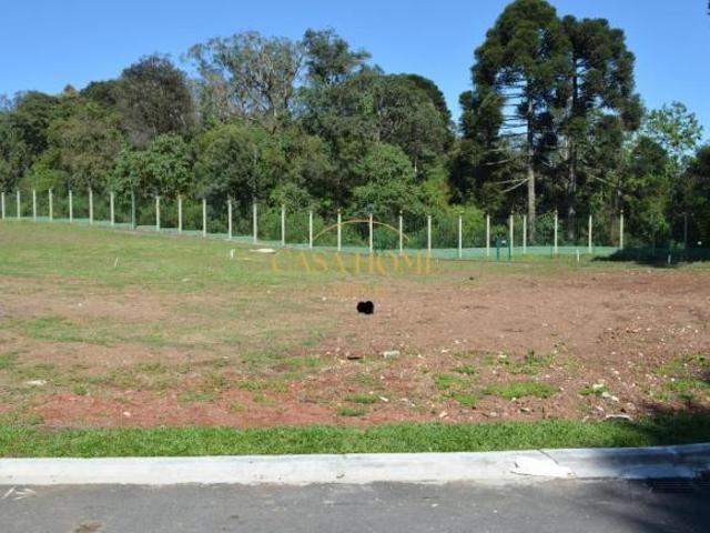 Terreno à venda em Augusta