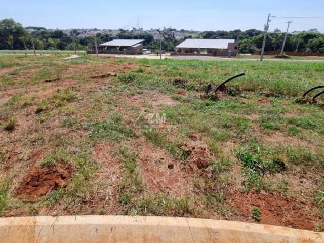 terreno à venda em Boa Esperança