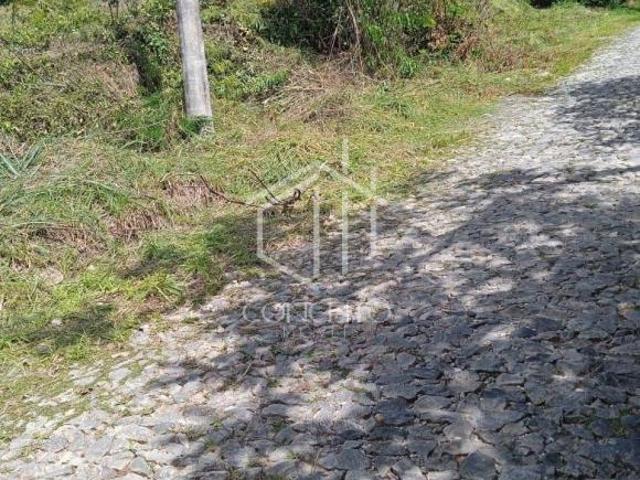 Terreno à venda em Bonanza