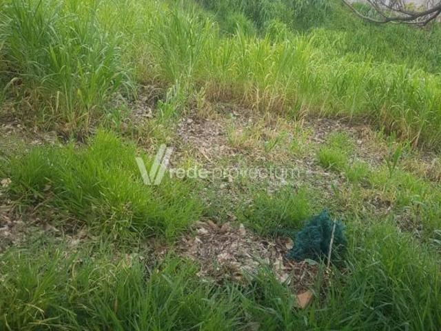 terreno à venda em Bosque dos Eucaliptos