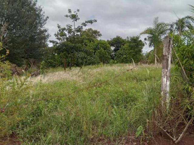 Terreno à venda em Barão de Antonina