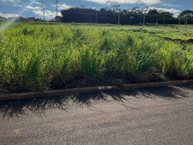 Terreno a venda em Barra Bonita/SP Núcleo Habitacional De Barra Bonita