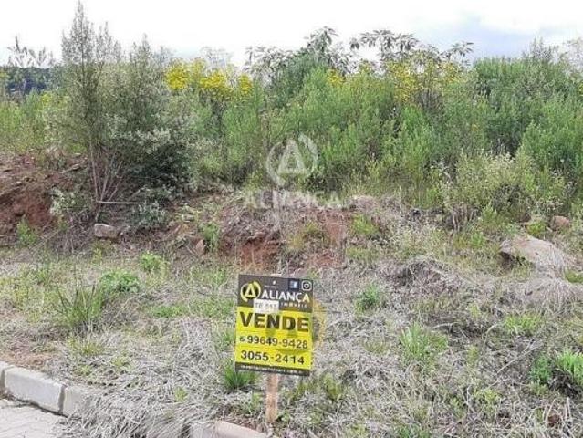 Terreno à venda em Barracão