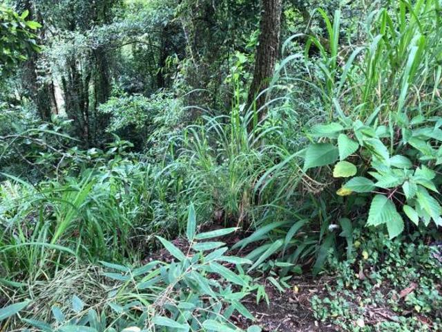 Terreno à venda em Barreiro SP