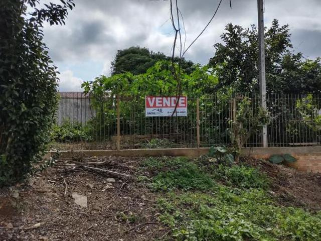 Terreno à venda em Barreirinha